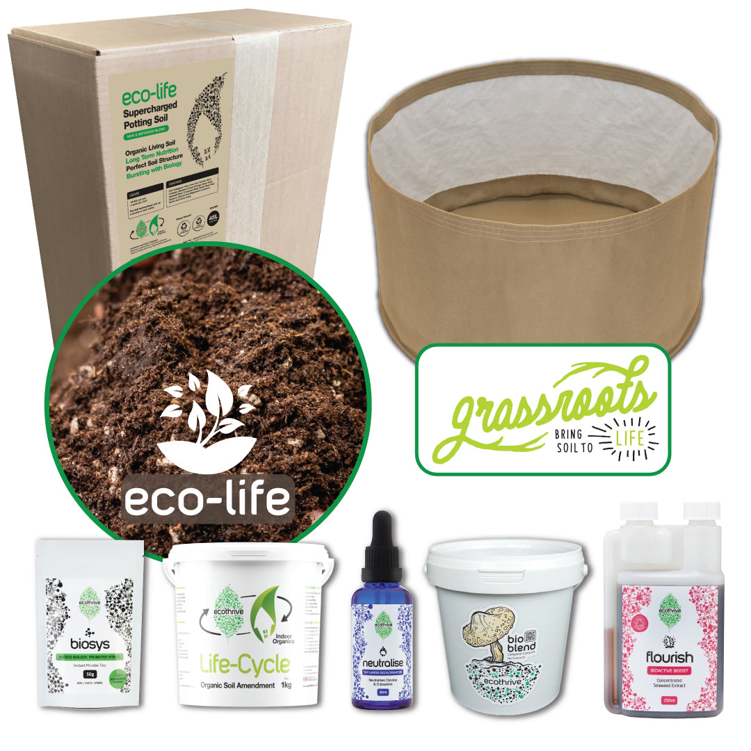 Living Soil Pot Kits - 1 Pot Essential