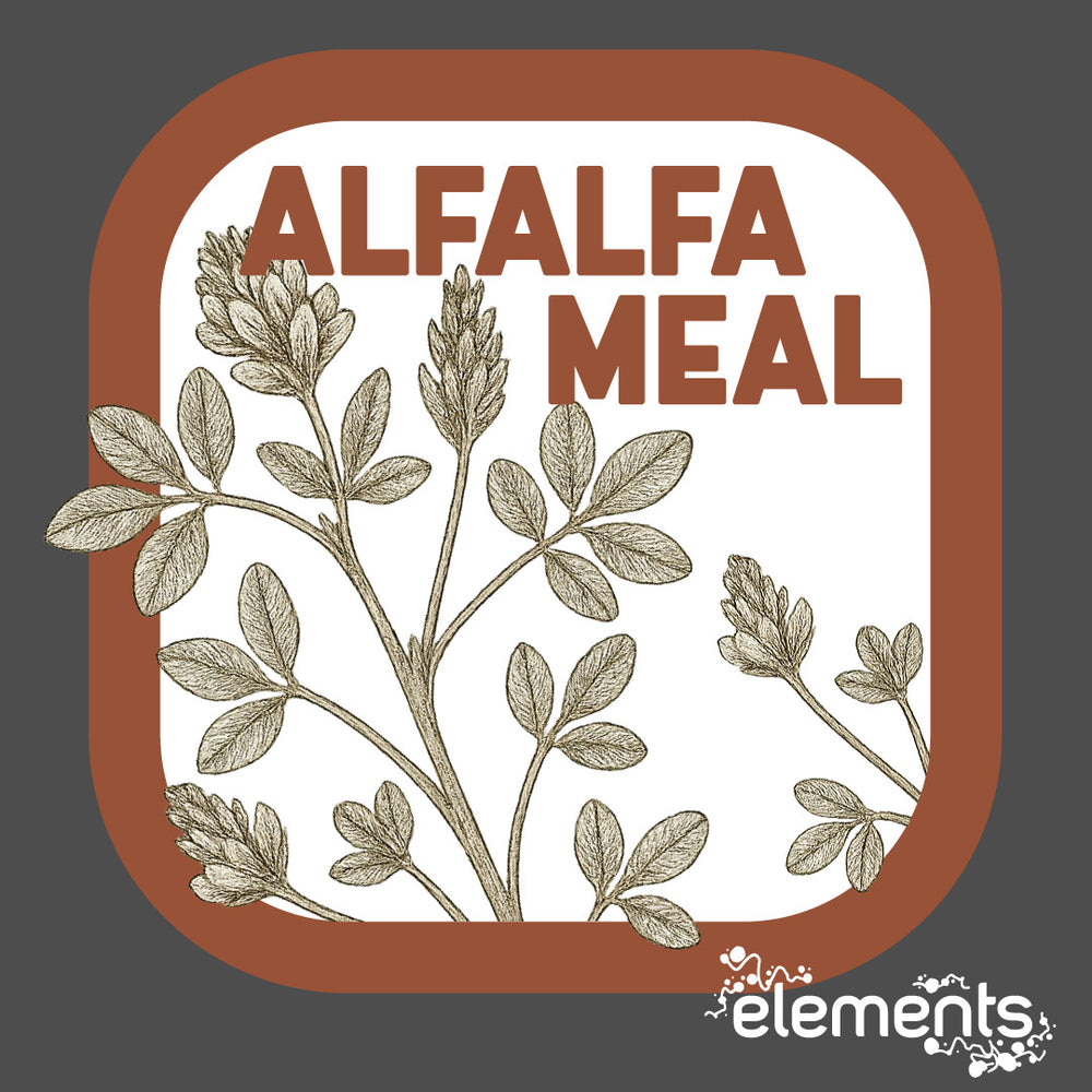 Alfalfa Meal