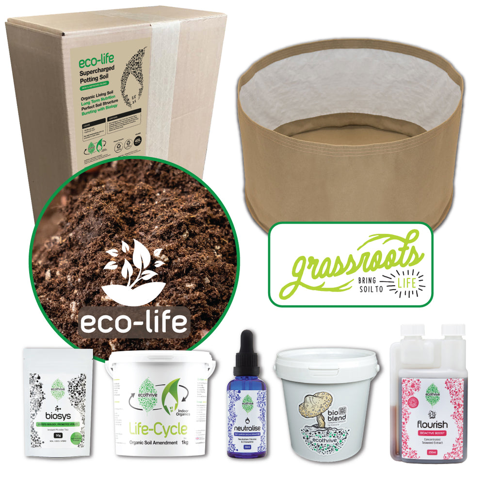 Living Soil Pot Kits - 1 Pot Essential