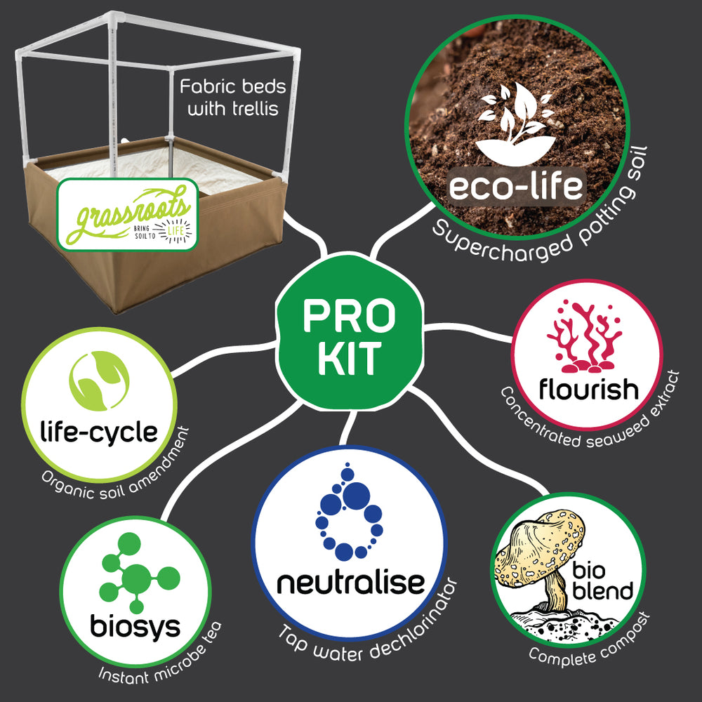 Living Soil Tall Trellis Bed Kits 2x4 Essential