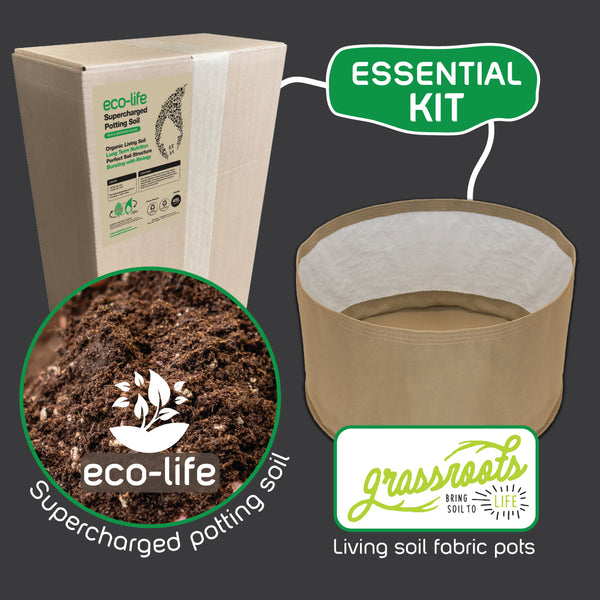 Living Soil Pot Kits - 1 Pot Essential