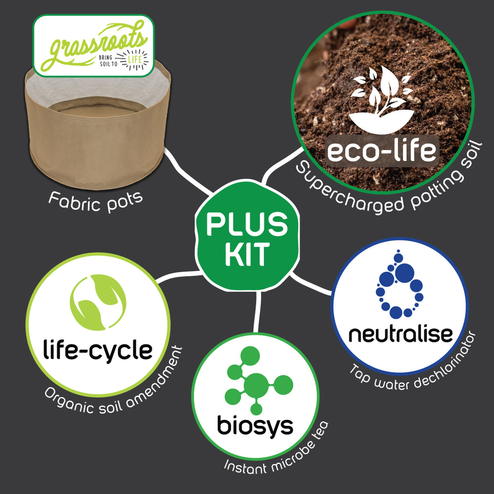 Living Soil Pot Kits - 1 Pot Essential