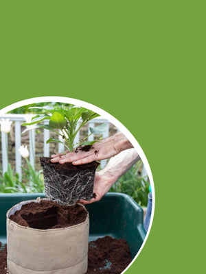 Ecothrive: Experts in Living Soil and Organic Growing