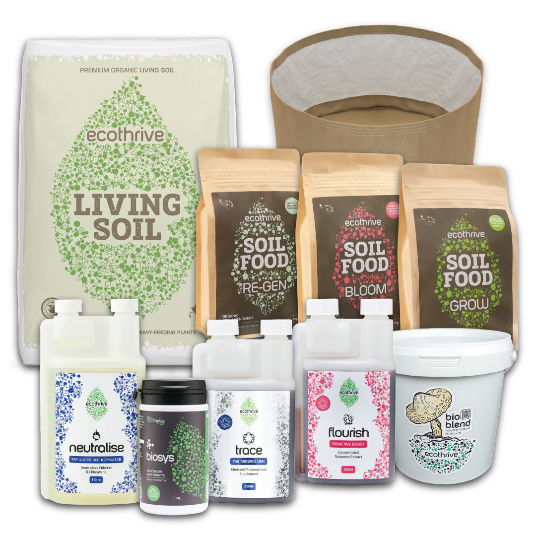 Living Soil Pot Kits - 1 Pot Essential