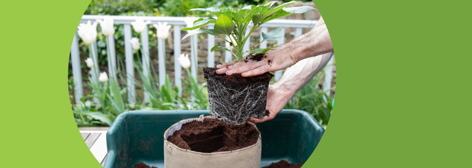 Ecothrive: Experts in Living Soil and Organic Growing