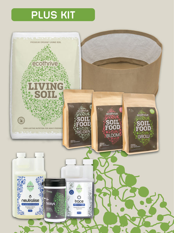 Living Soil Pot Kits - 1 Pot Essential